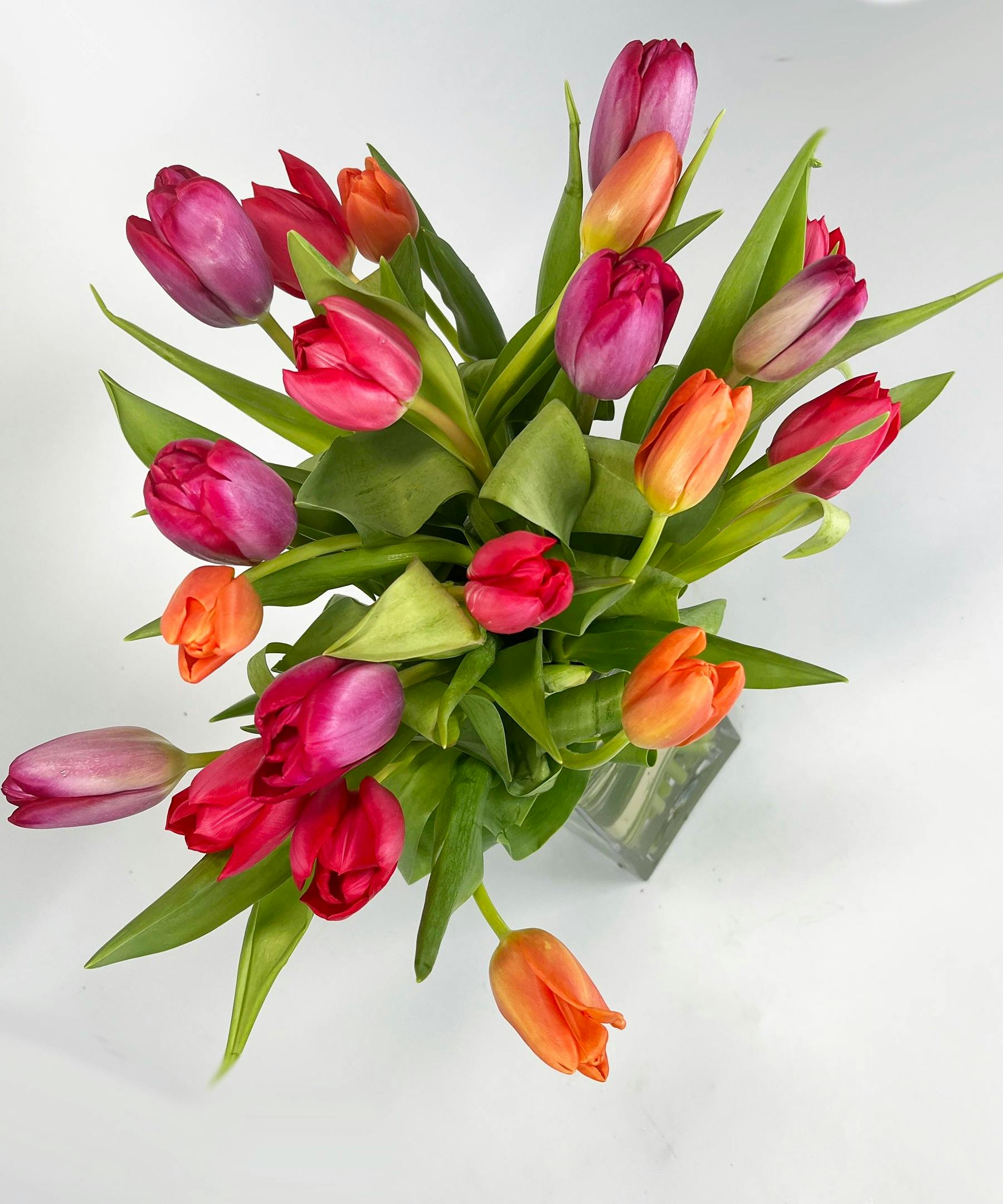 Spring Mixed Tulip Bouquet | Norton's Florist Birmingham AL